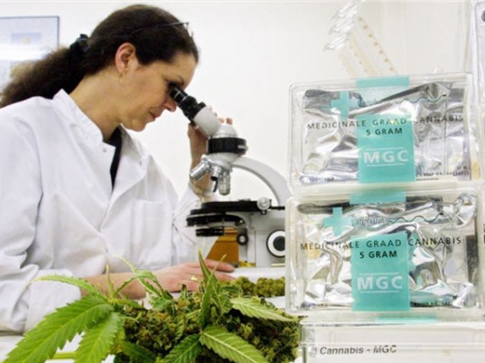 What to Know About Cannabis Lab Testing – Its Usefulness and More | Leafist
