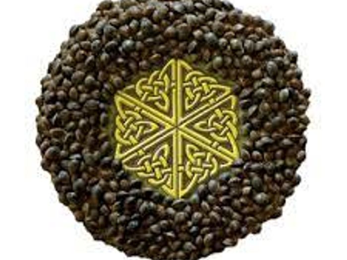 Mandala Seeds Brand Information | Leafist