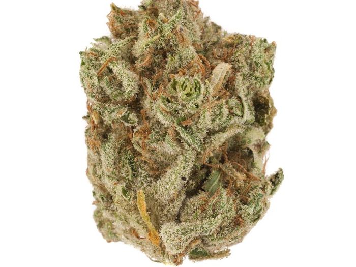 Wonder Kid Strain Information | Leafist