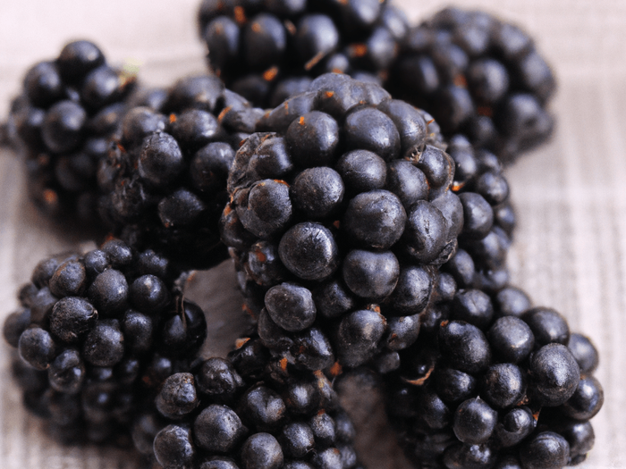 Blackberry Strain Information | Leafist