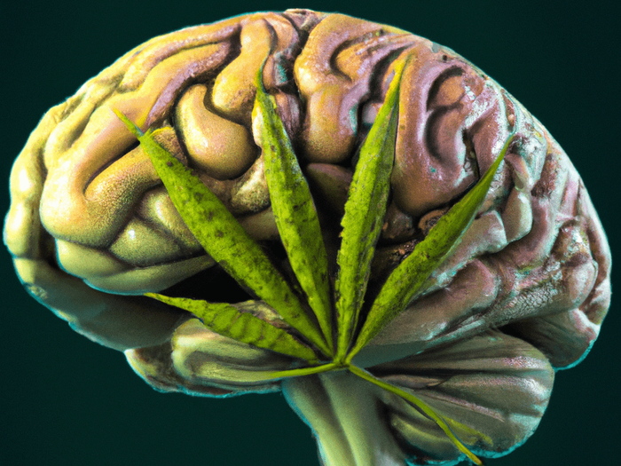 Brains Damage Strain Information | Leafist