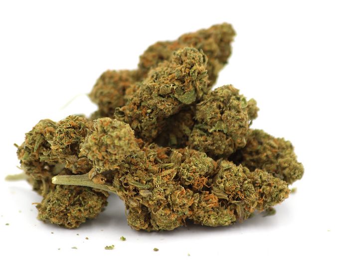 Blue Cookies Strain Information | Leafist